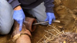 Removing Roots From Drains - Drain Service