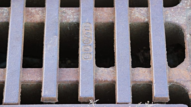 Storm Drain: Everything You Need to Know - Drain Service